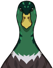 Emerald Duck - Genshin Impact - EZRMT
